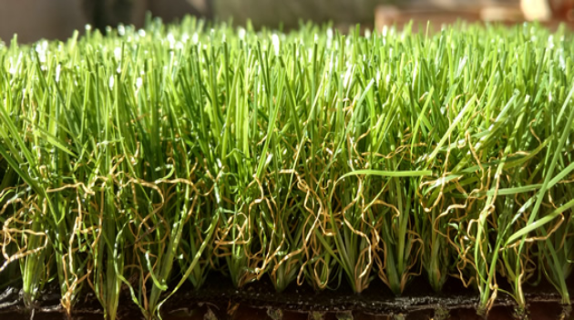 Artificial Turf Grass – AZ Turf King